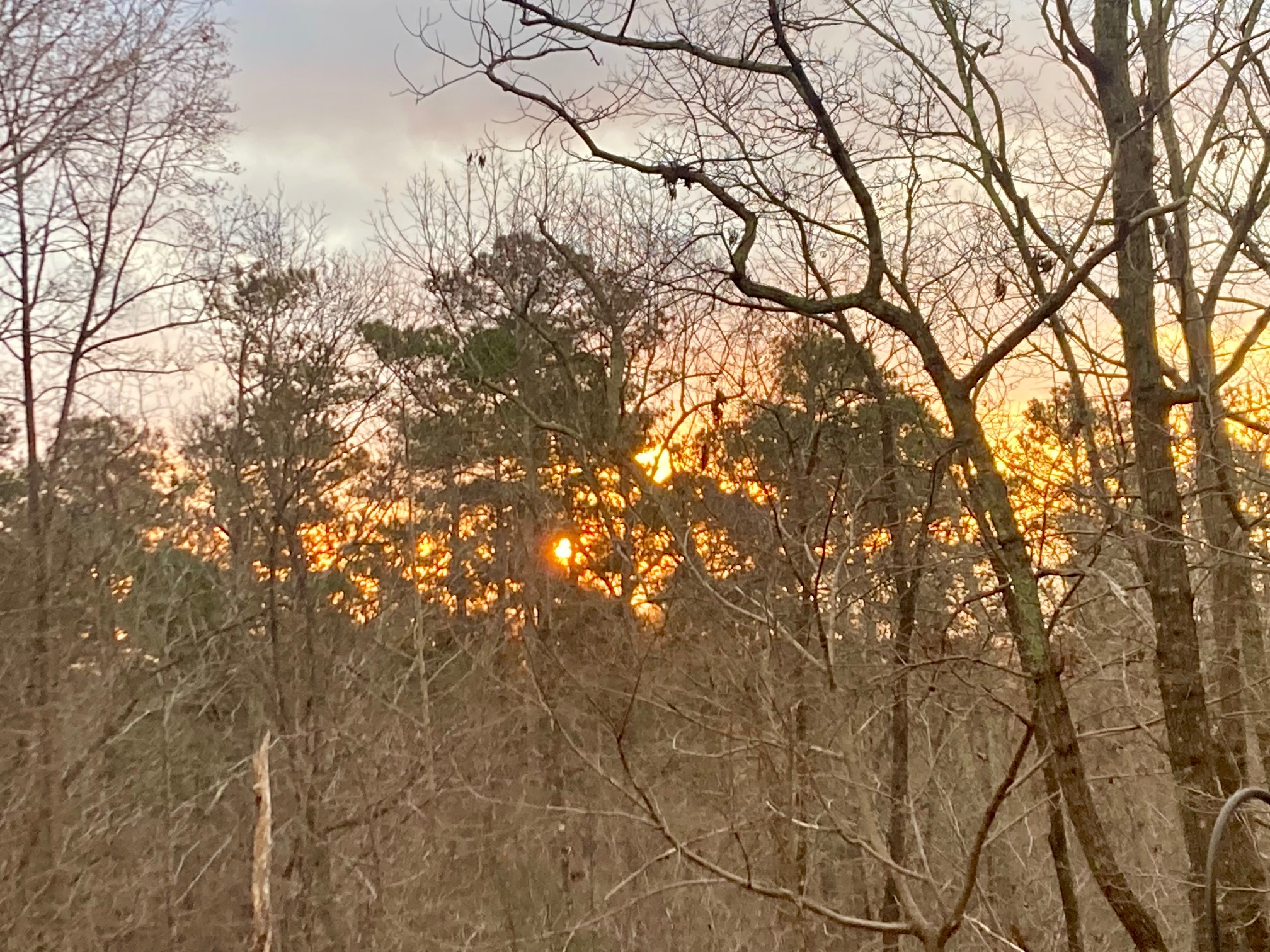 2026 – Colleen’s Countdown To Retirement – All Is Right On The Homestead